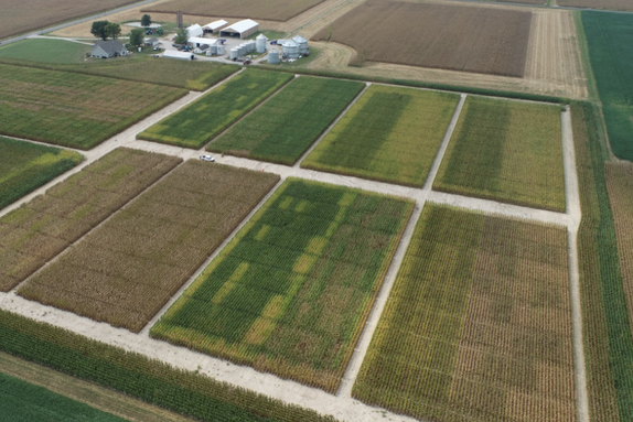 Gene-edited soil bacteria could provide third source of nitrogen for corn production | College ...